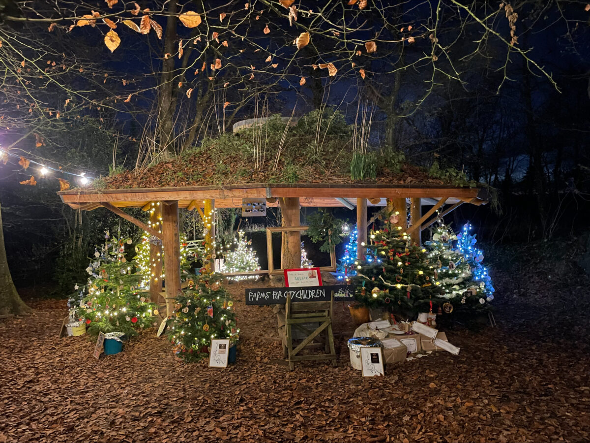 Nethercott House Christmas Tree Festival | Farms for City Children